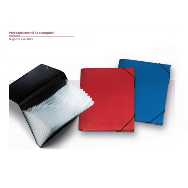 Paniate - Portadocumenti 13 Scomparti Nero Lebez in offerta da Paniate